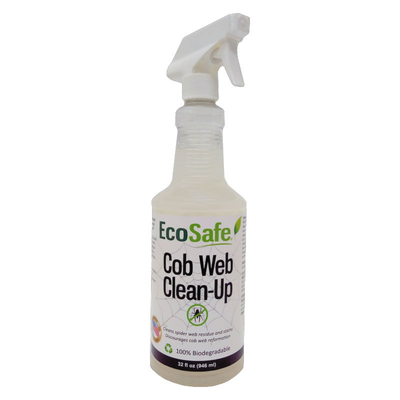 Cob Web Clean-Up – EcoSafe Labs